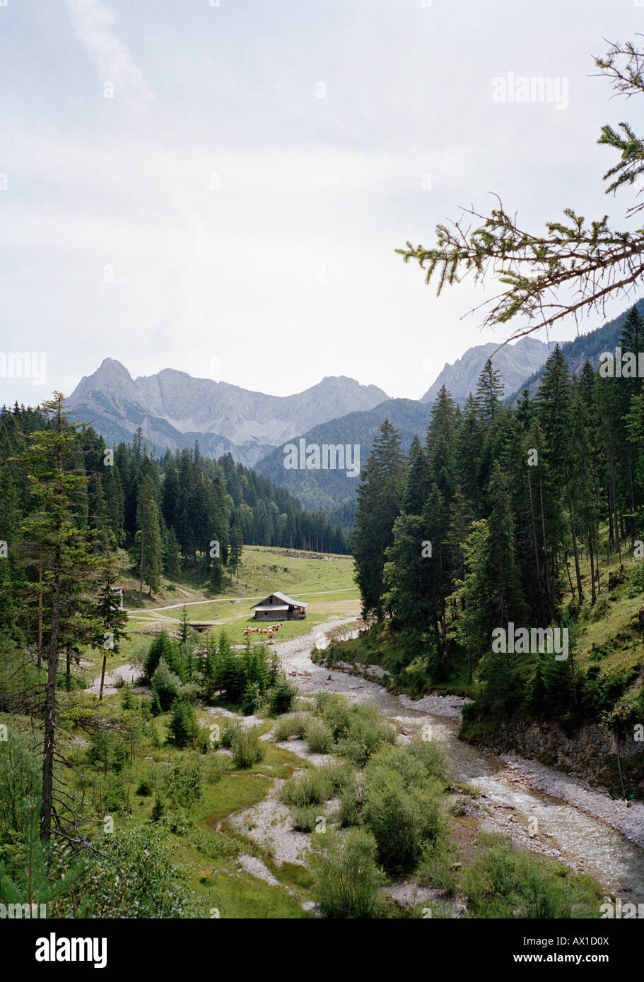 Photography of the alps hi-res stock photography and images - Alamy