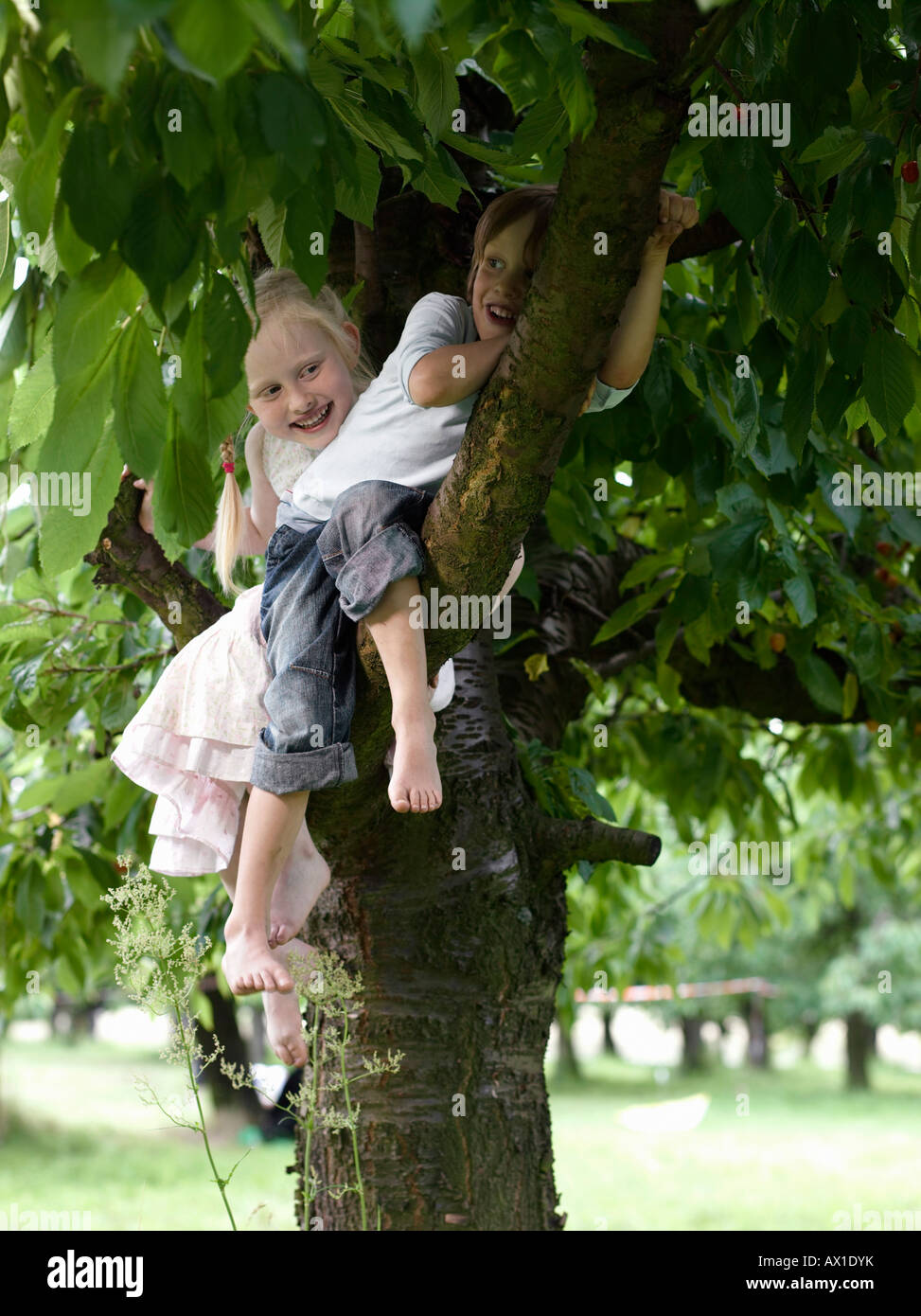Girl sitting under a tree branch hi-res stock photography and images ...