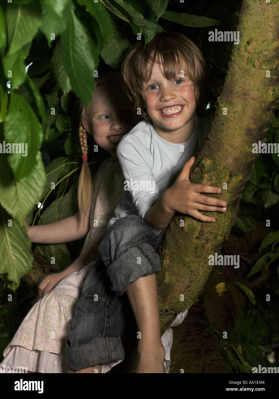 Two children sitting in a tree Stock Photo - Alamy