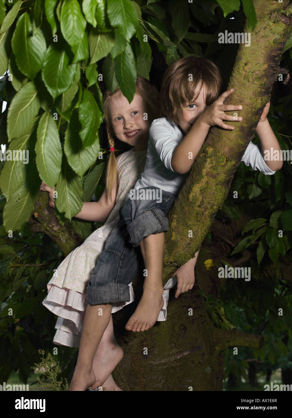 Two children sitting in a tree Stock Photo - Alamy