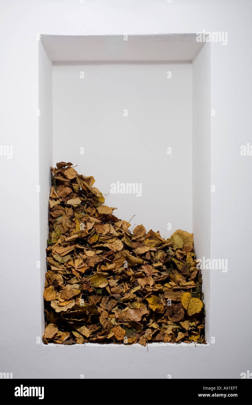 A heap of dead leaves on a shelf Stock Photo - Alamy