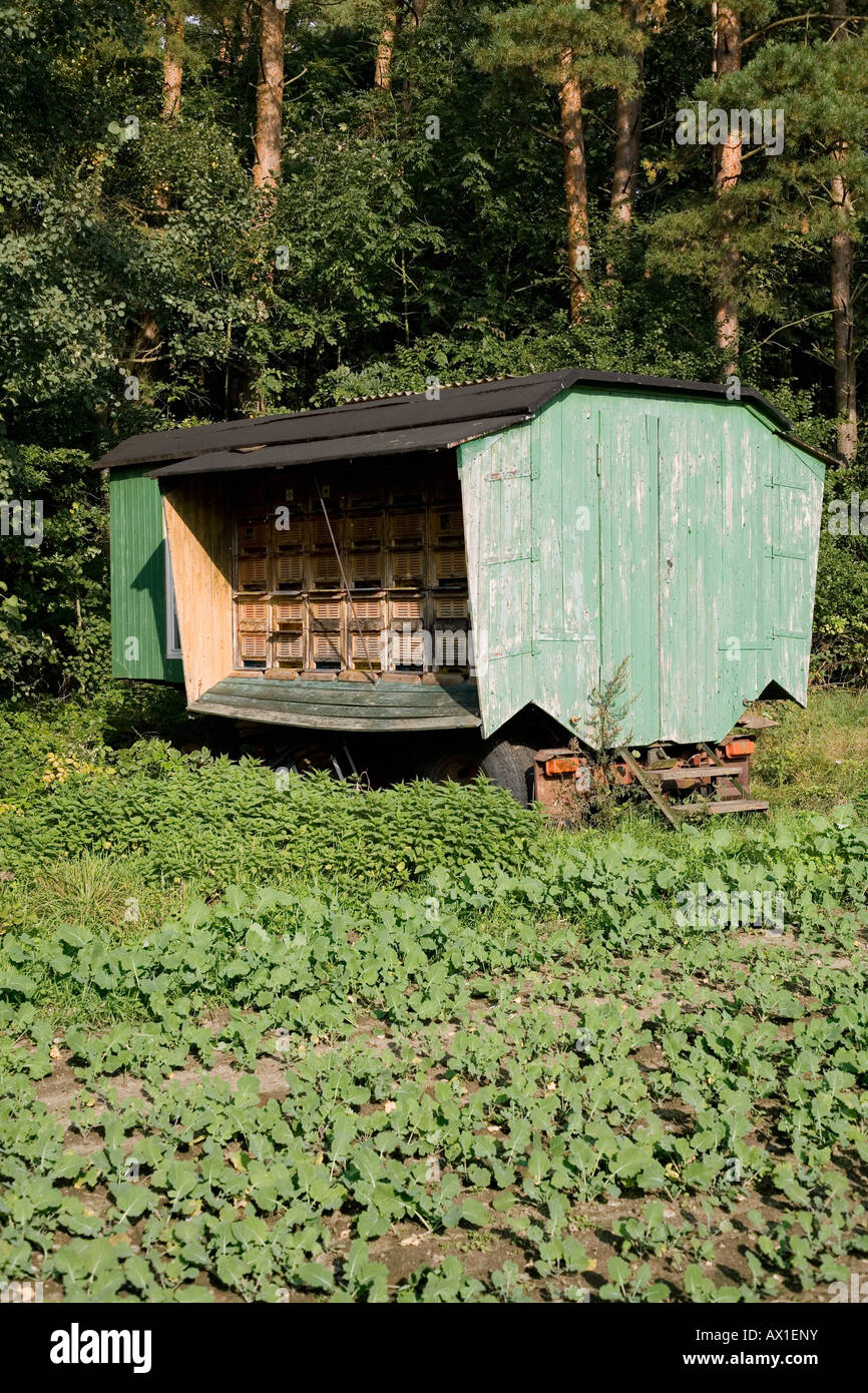 A weathered shed in a rural area Stock Photo - Alamy