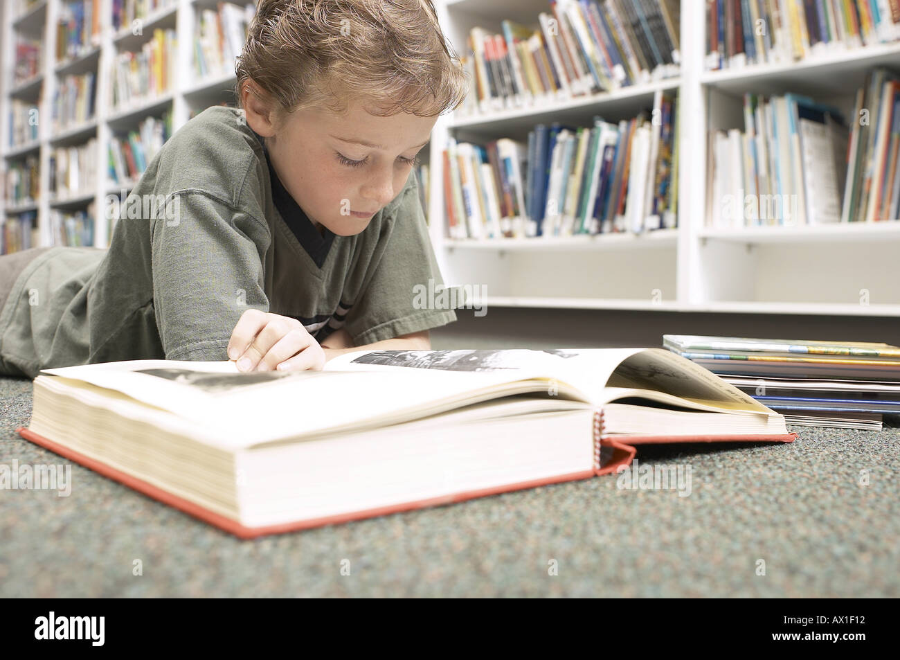 Little boy reading book in library Stock Photo - Alamy