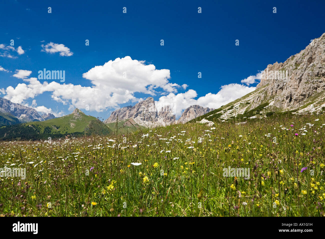 Sella group at Pordoi pass, Dolomite Alps, Dolomites, South Tyrol ...