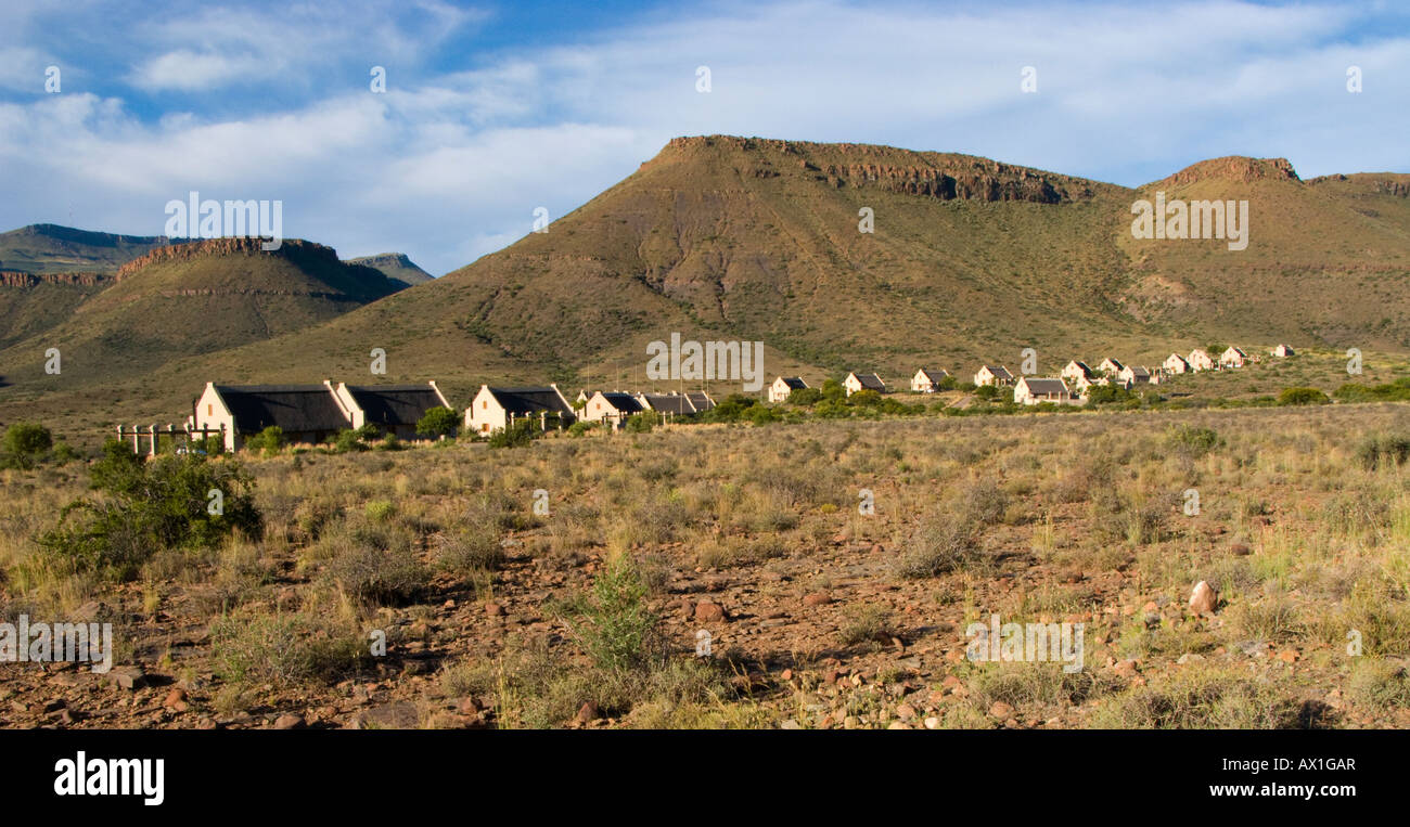 Karoo bush hi-res stock photography and images - Alamy