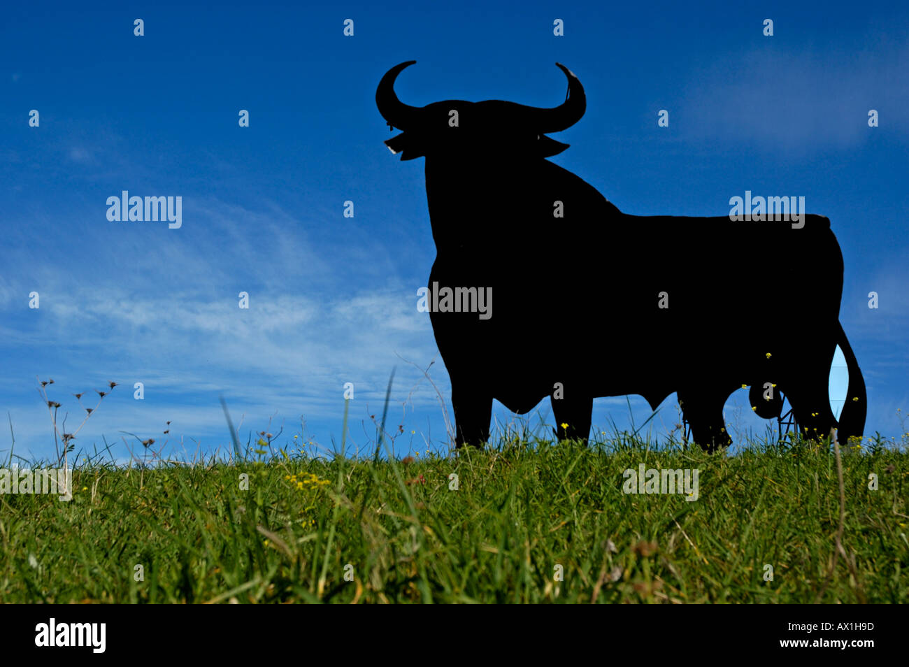 Osborne Bull, the unofficial national symbol of Spain, dominating the ...