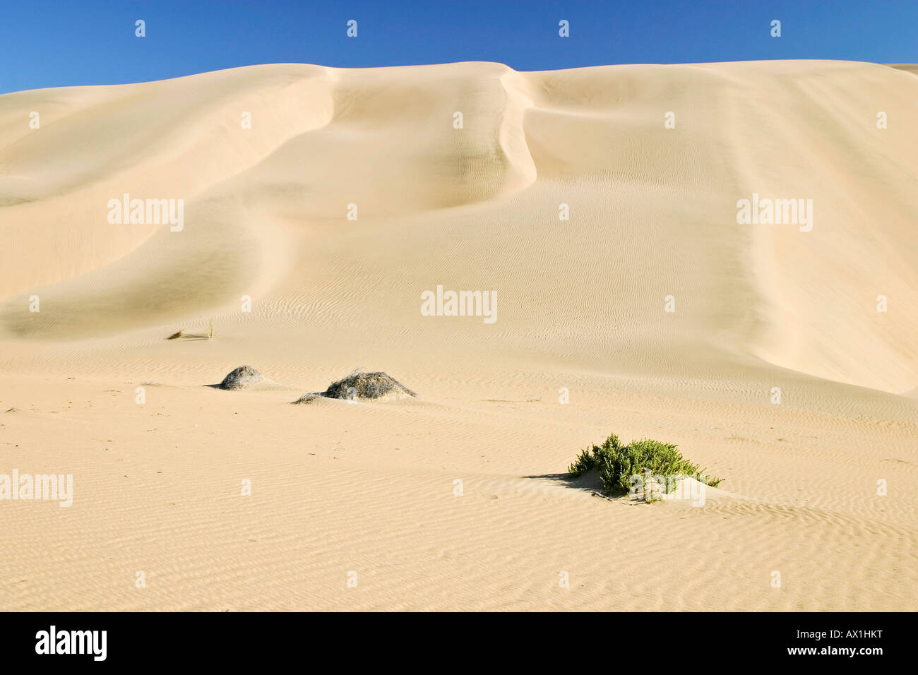 Sand dunes, diamond prohibited area, Saddlehill, Namibia, Africa Stock ...