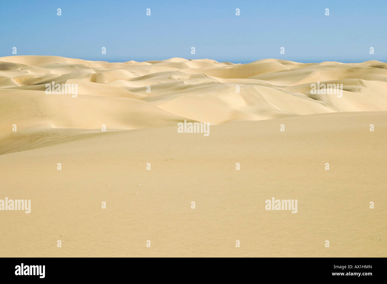 Sperrgebiet prohibited area diamond area hi-res stock photography and ...