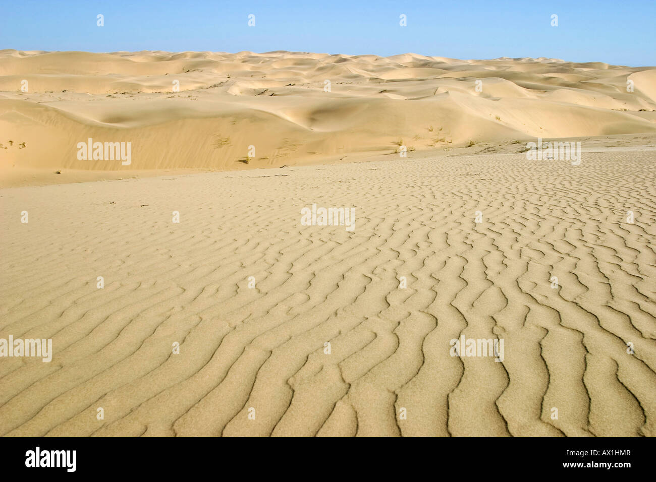 Sand dunes, diamond prohibited area, Saddlehill, Namibia, Africa Stock ...