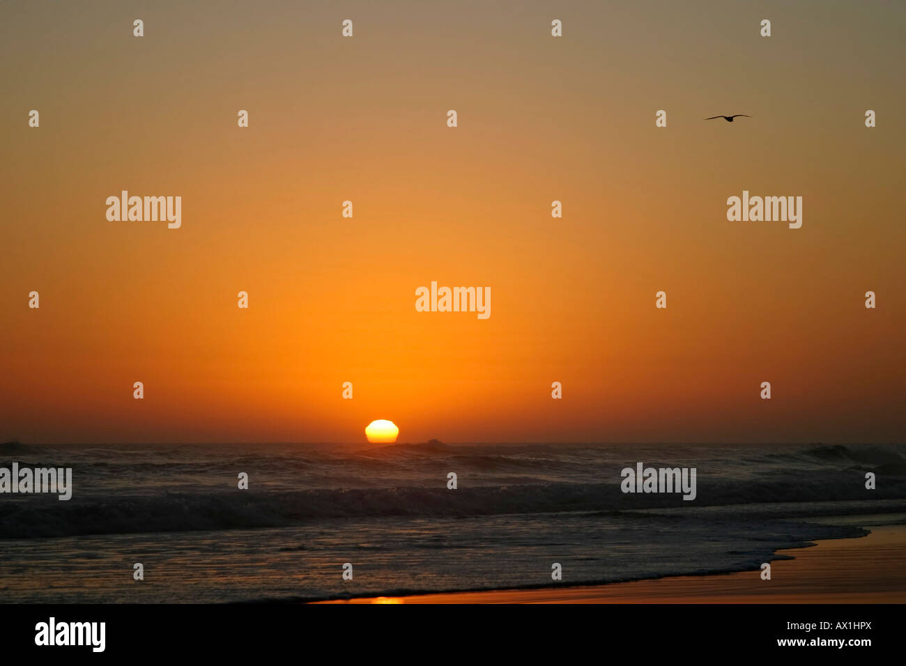 Sperrgebiet prohibited area diamond hi-res stock photography and images ...