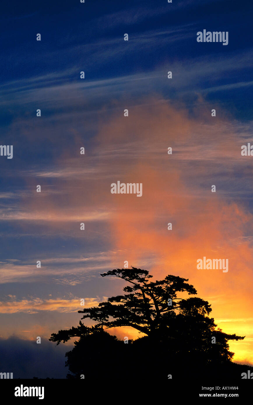 Monterey outline hi-res stock photography and images - Alamy