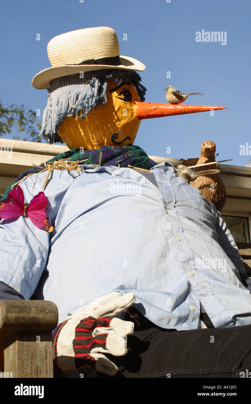 Straw wig hi-res stock photography and images - Alamy