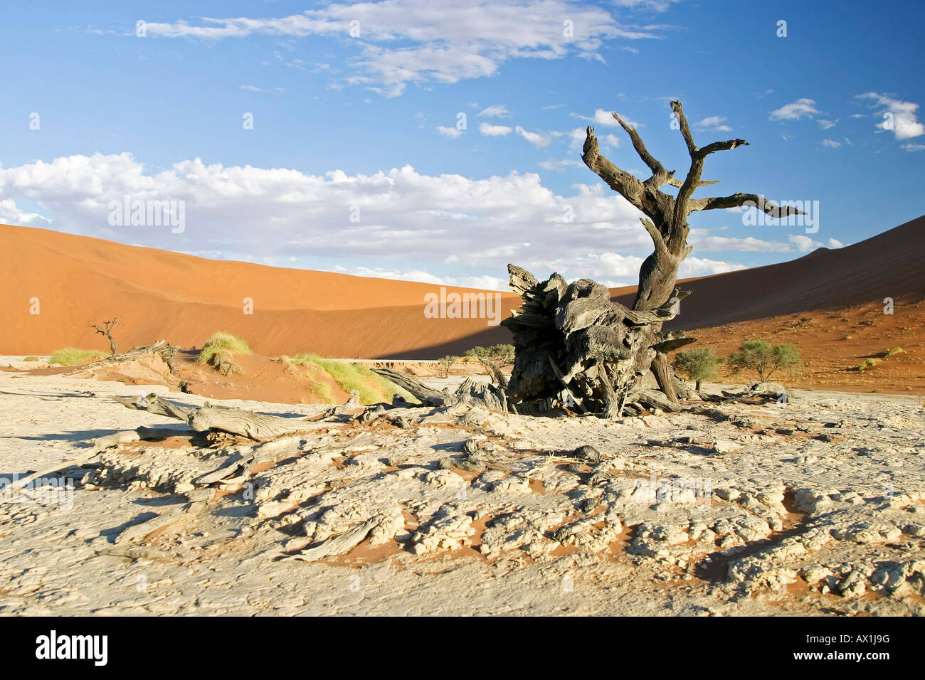 Dead Trees between dunes in the Namib desert, Deadvlei, Namibia, Africa ...