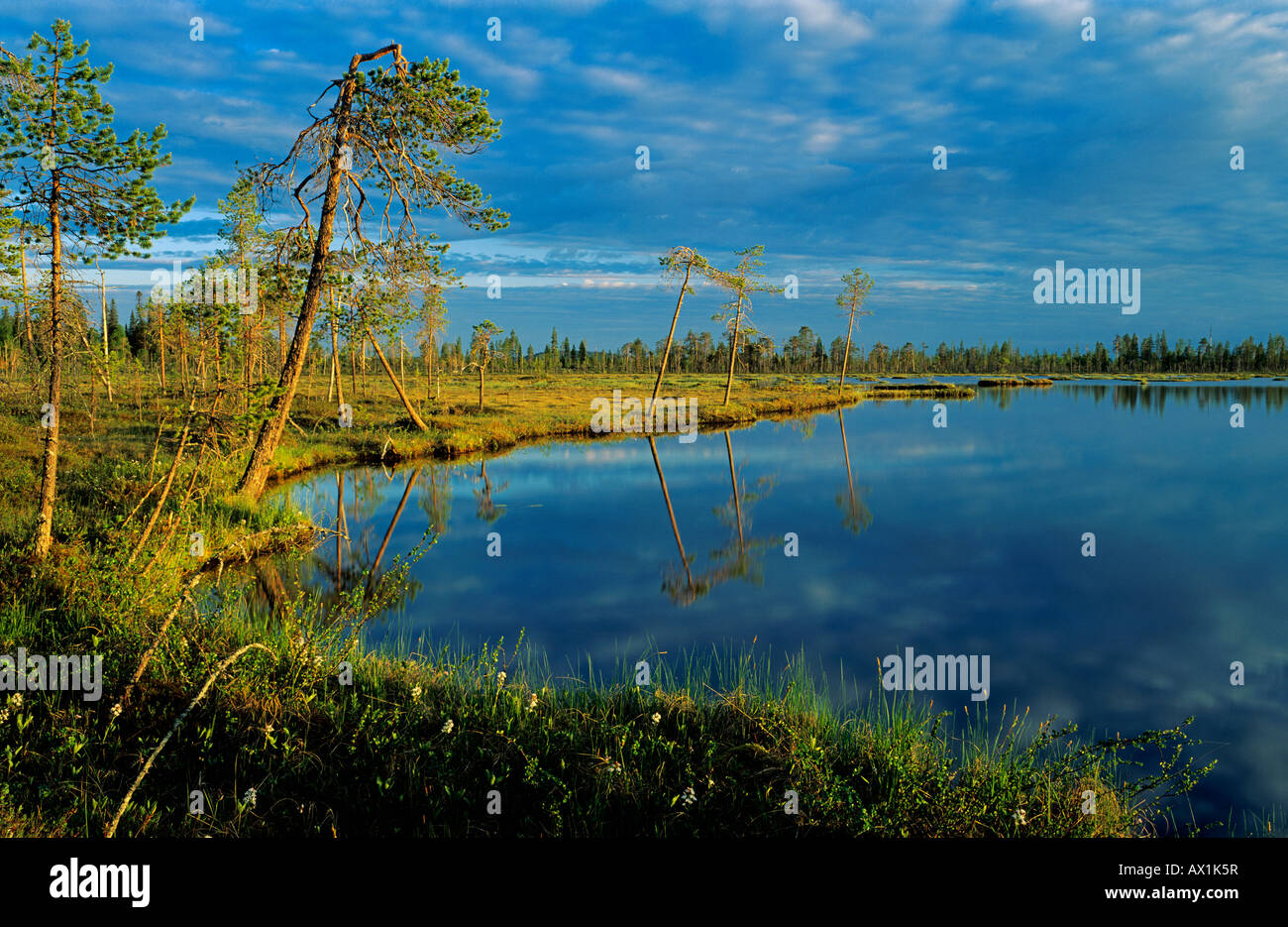 Lakes and moorland hi-res stock photography and images - Alamy