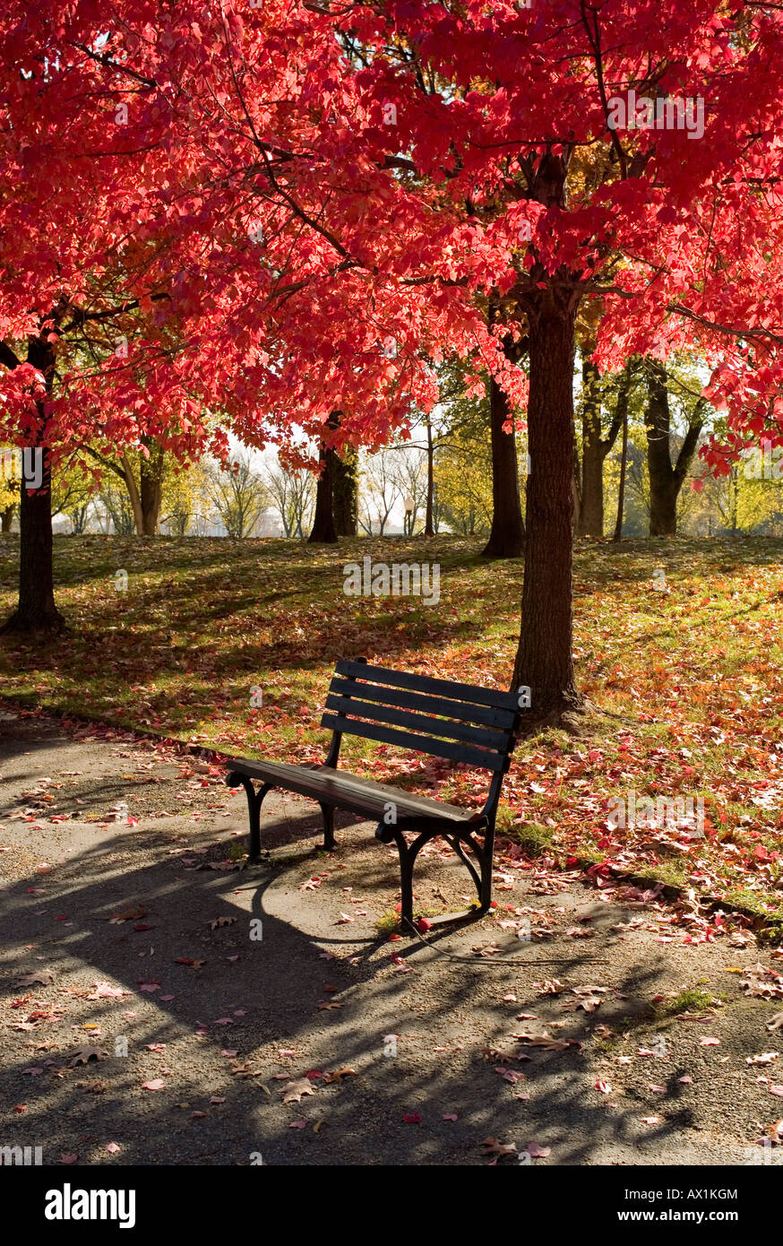 A park bench in autumn Stock Photo - Alamy
