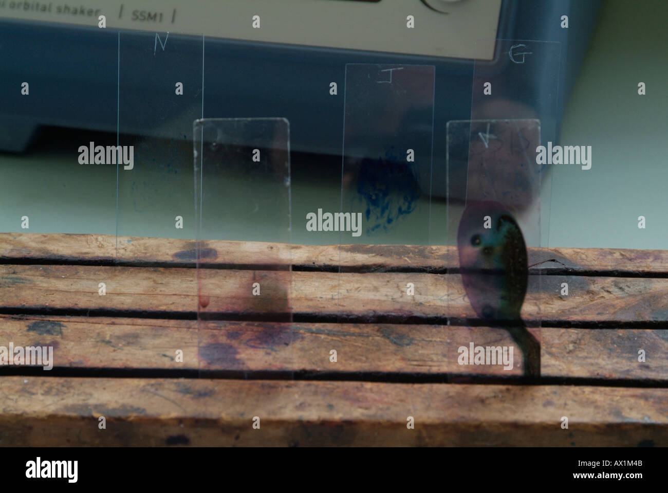 Microscope slides samples hi-res stock photography and images - Alamy