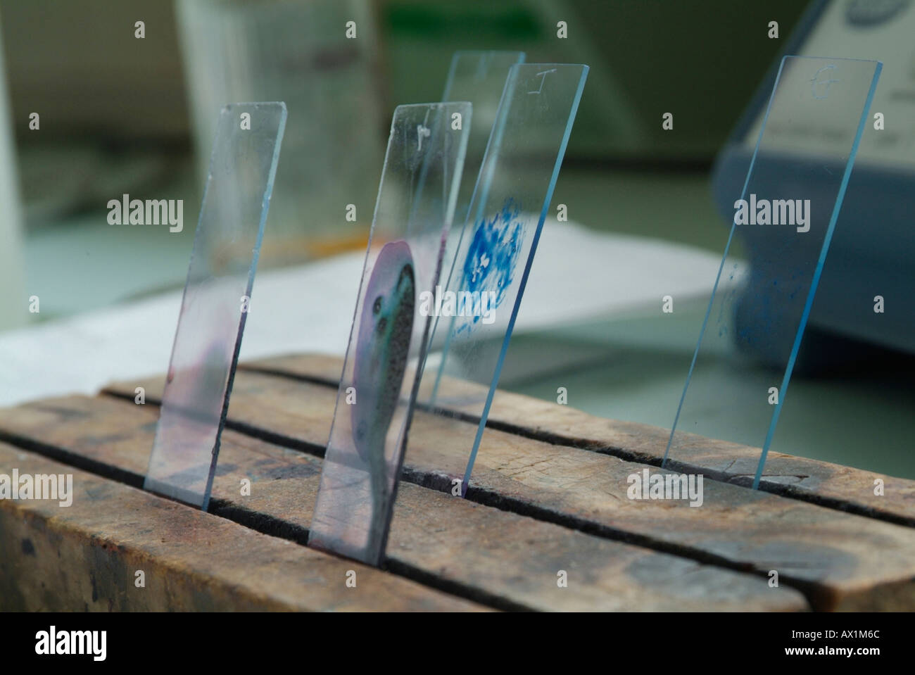 Microscope slides samples hi-res stock photography and images - Alamy