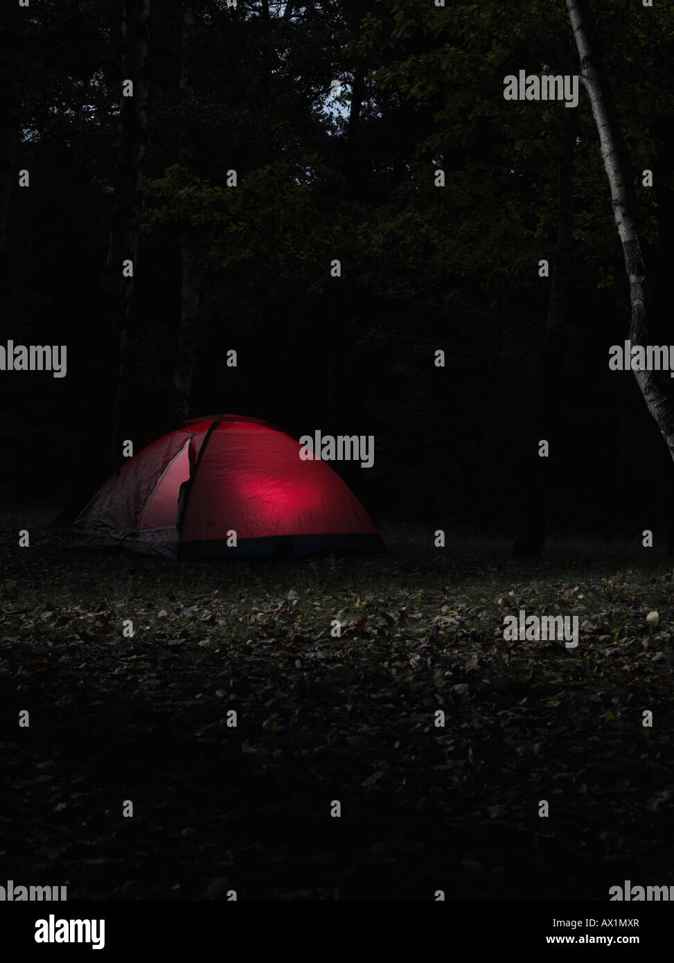 An illuminated red tent in a forest at night Stock Photo - Alamy