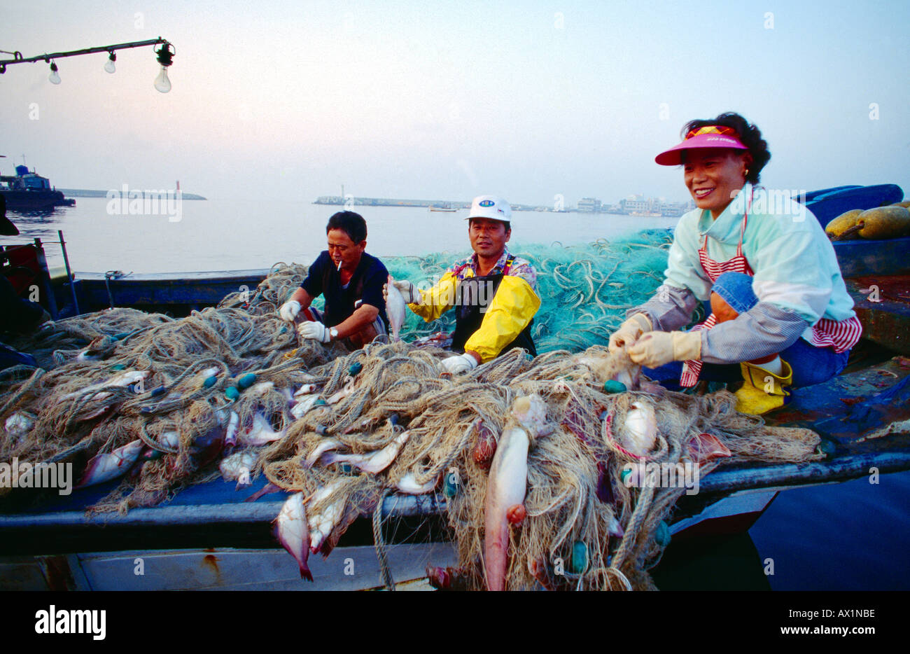 Kampo South Korea Mr Han & Fishermen Remove Fish From Net Stock Photo ...