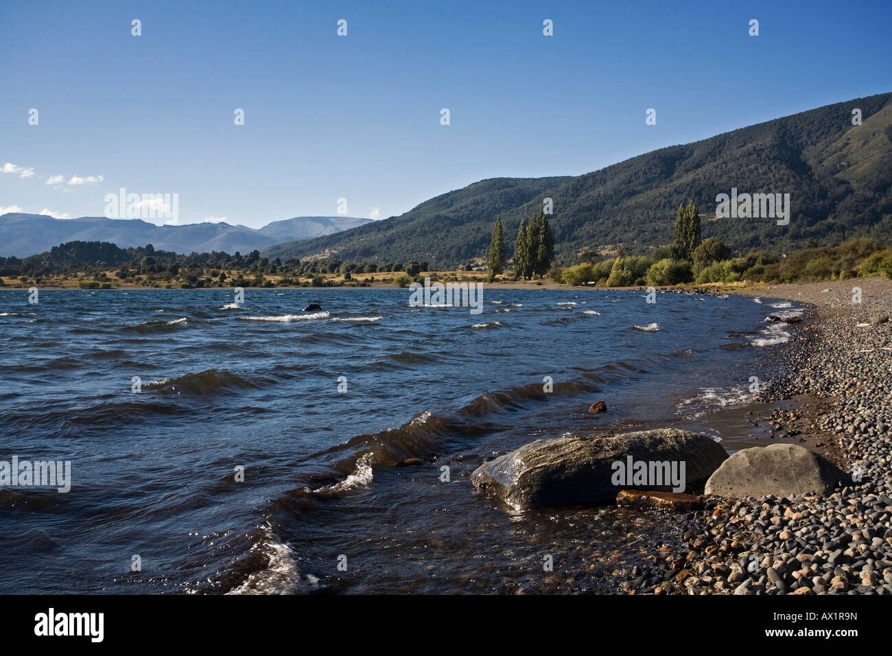 Lake Lago Lolog, national park Parque Nacional Lanin, region of ...