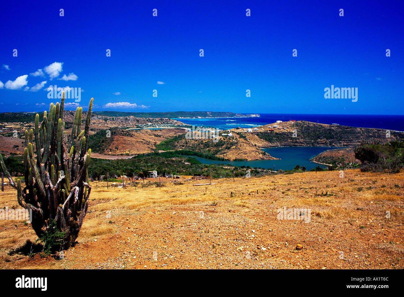 Willoughby Bay Antigua Indian Creek Mamora Bay Cactus Stock Photo - Alamy
