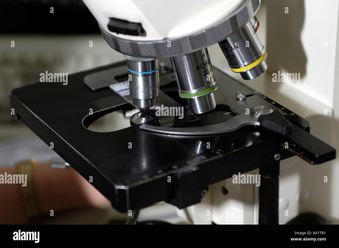 Lab technician at microscope Stock Photo - Alamy