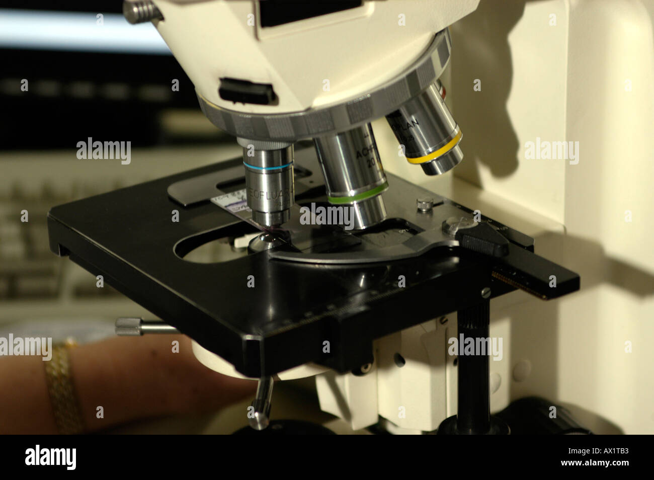 Lab technician at microscope Stock Photo - Alamy