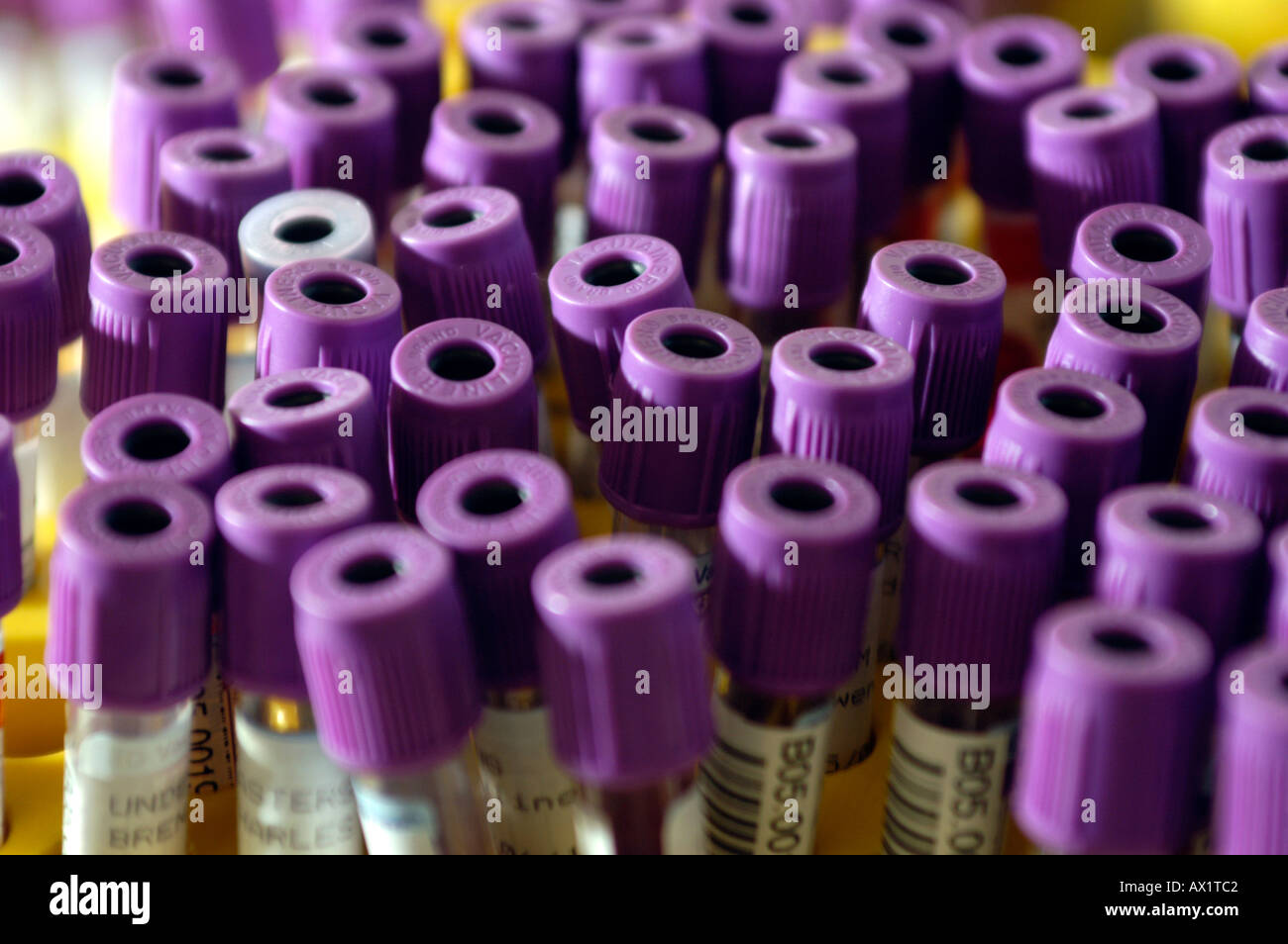 EDTA Test tubes Stock Photo - Alamy