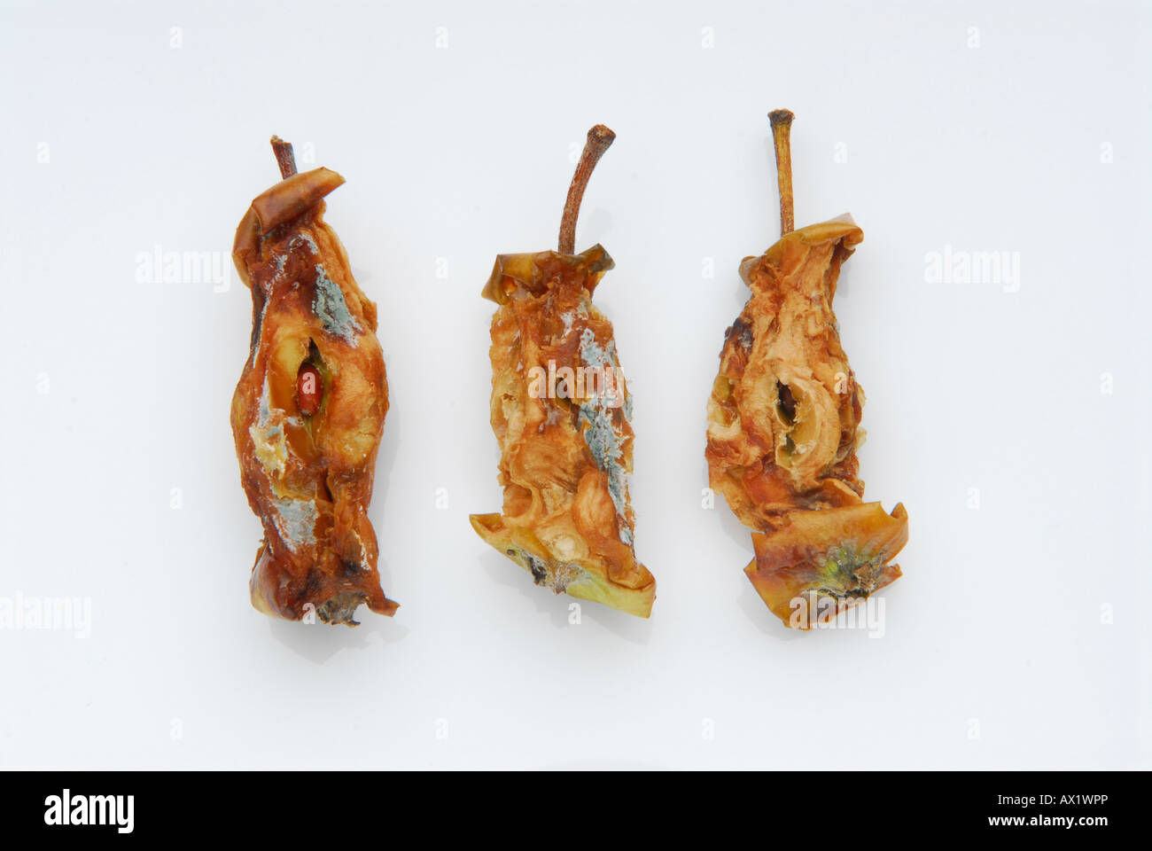 Apple cores hi-res stock photography and images - Alamy