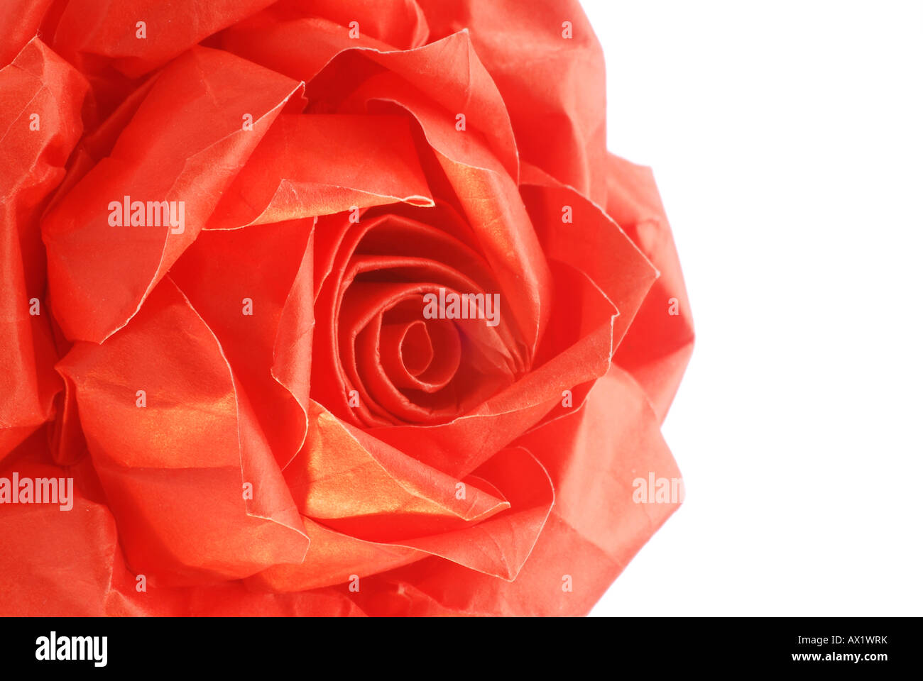 Folding rose hi-res stock photography and images - Alamy