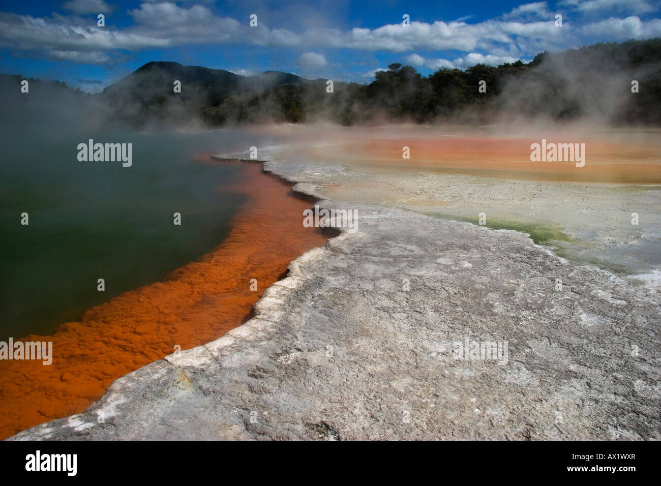 Champagne Pool, North Island, New Zealand, Oceania Stock Photo - Alamy