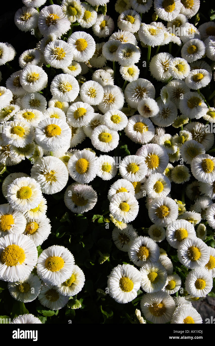 Bayerischer hintergrund hi-res stock photography and images - Alamy