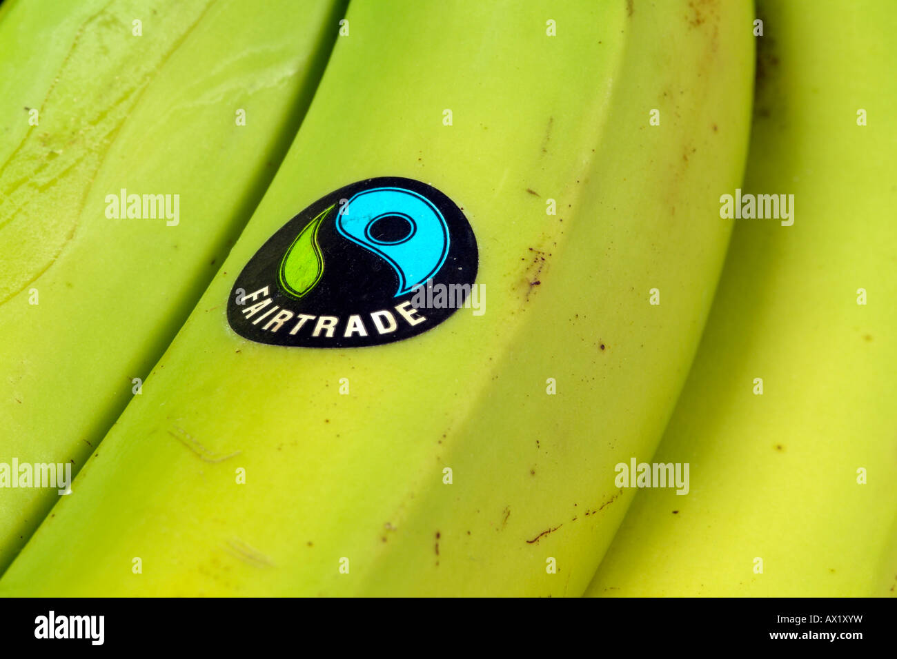 Fairtrade Banana with product sticker Stock Photo - Alamy