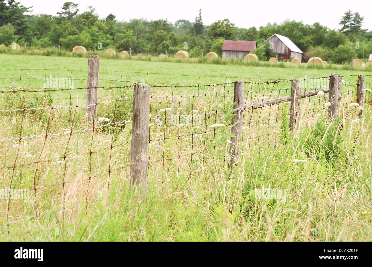 Wire fence around farm field Stock Photo - Alamy