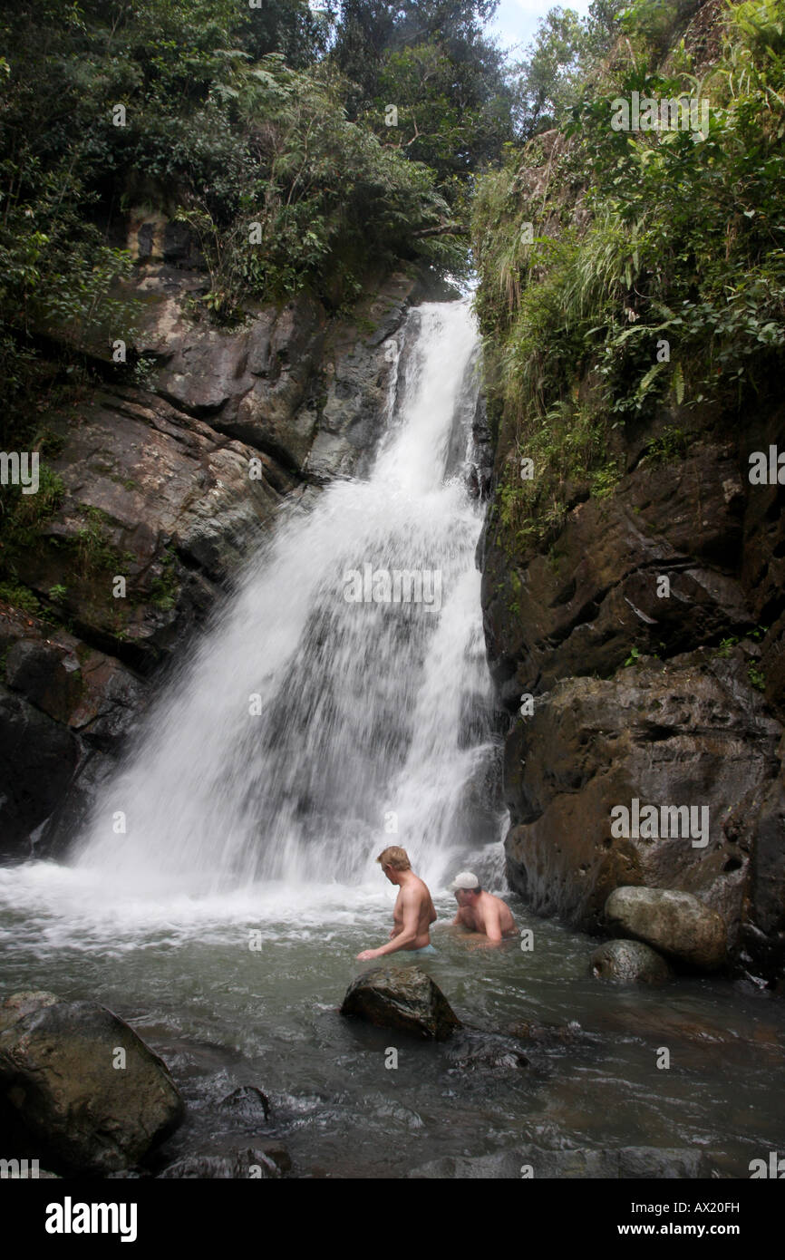 Cascada La Mina waterfall El Yunque rain forest swim Puerto rico Stock ...