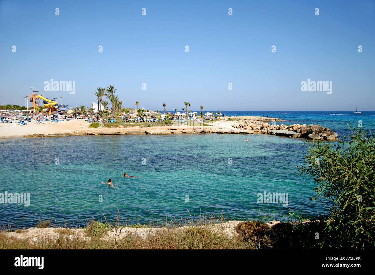 Nissi beach palm hi-res stock photography and images - Alamy