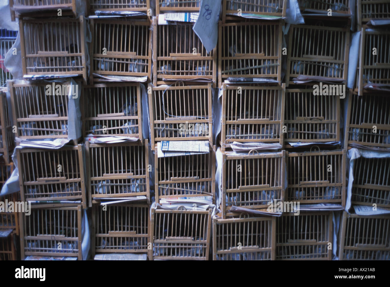 stack of bird cages Stock Photo - Alamy