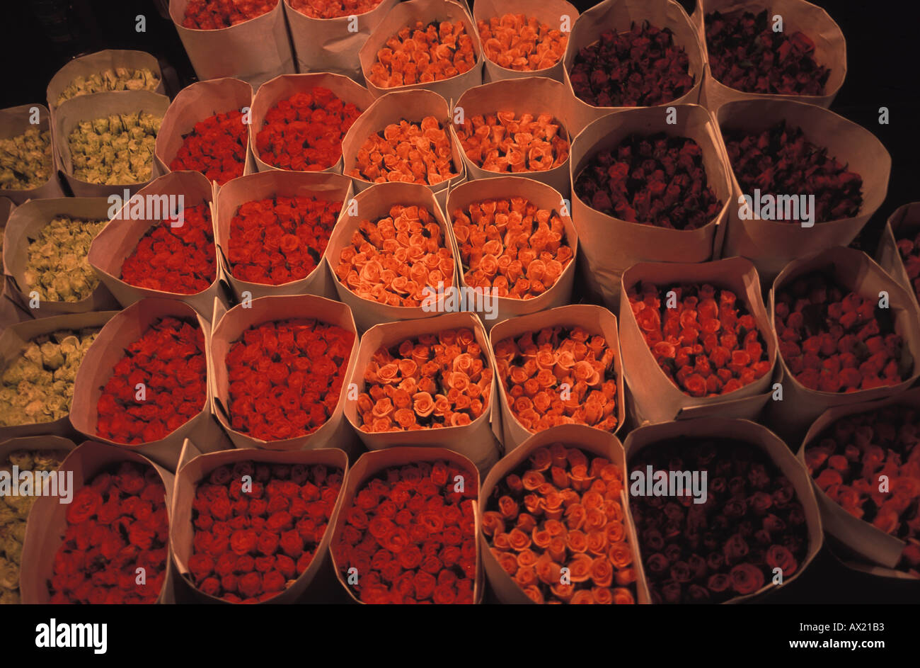 Bunches of flowers hi-res stock photography and images - Alamy