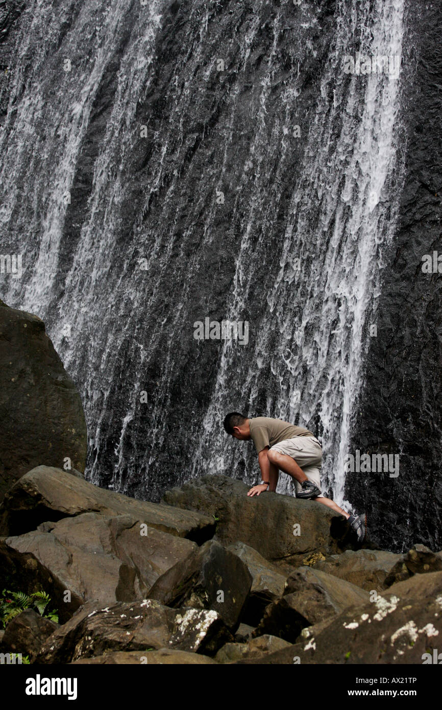 La coca waterfall el yunque hi-res stock photography and images - Alamy