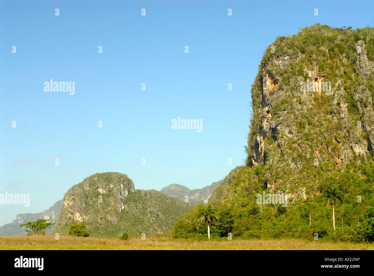Mogotes, karst rock formations near Vinales, Cuba, Caribbean, Americas ...