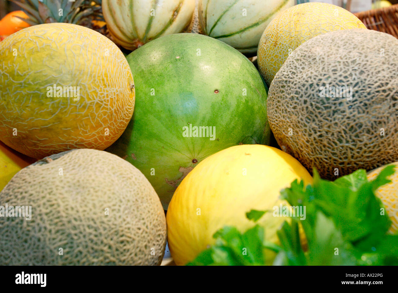All kind of melons Stock Photo - Alamy