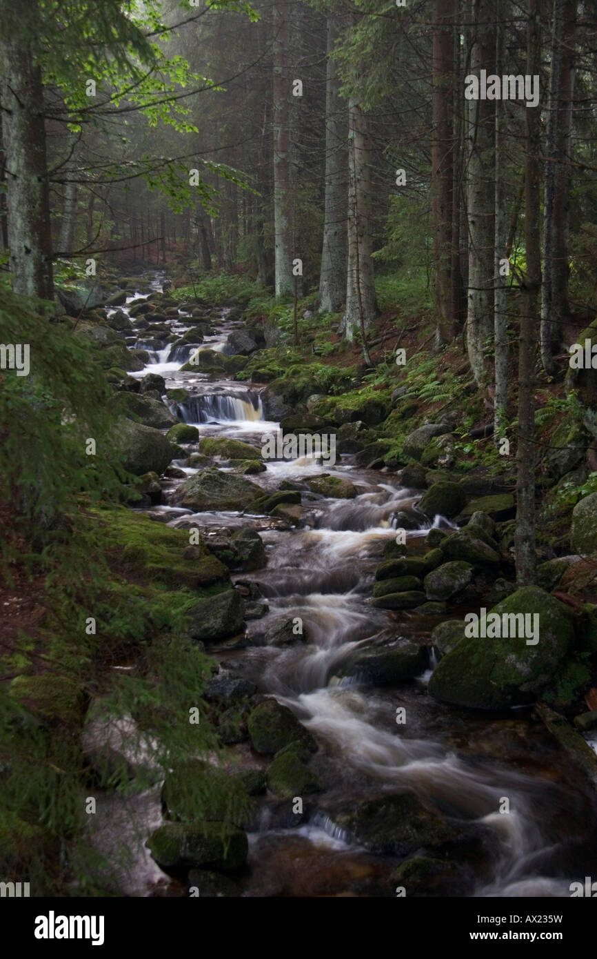Kleine Ohe River, Nationalpark Bayrischer Wald (Bavarian Forest ... Kleine Ohe River, Nationalpark Bayrischer Wald (Bavarian Forest ...