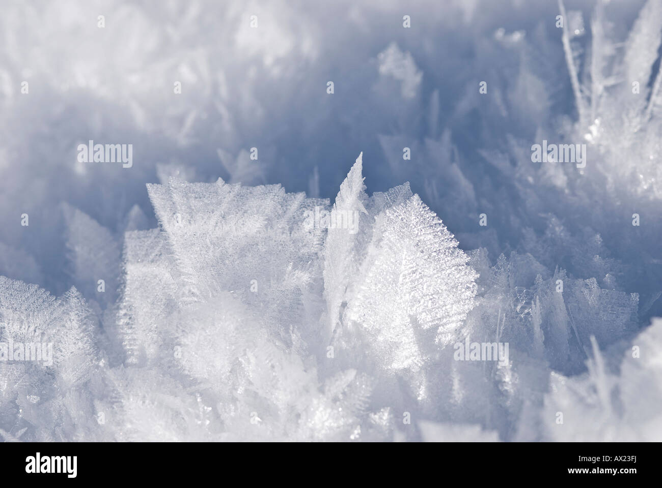 Ice crystal, snow crystal Stock Photo - Alamy