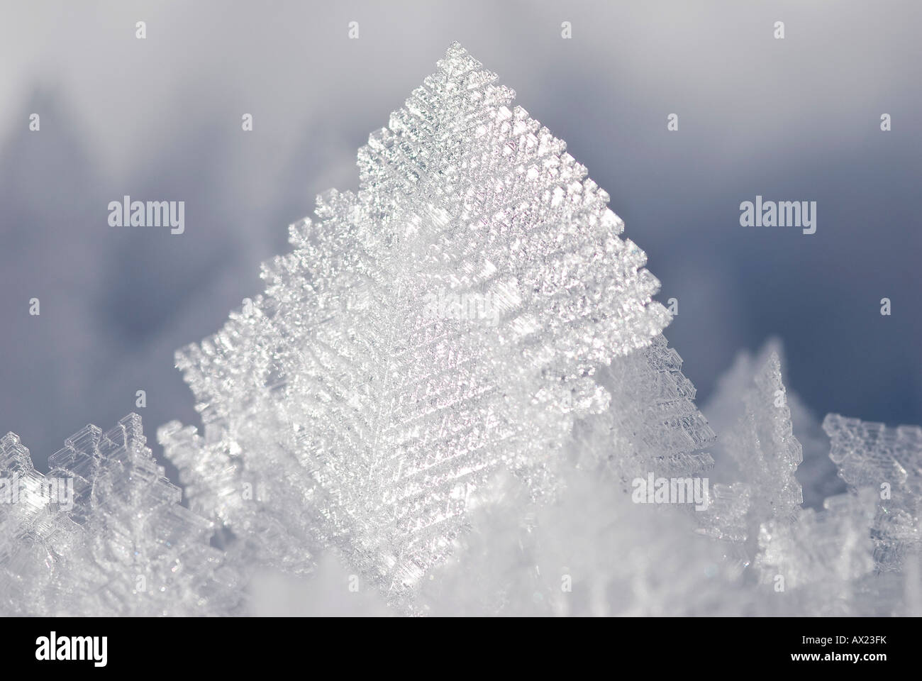 Ice crystal, snow crystal Stock Photo - Alamy