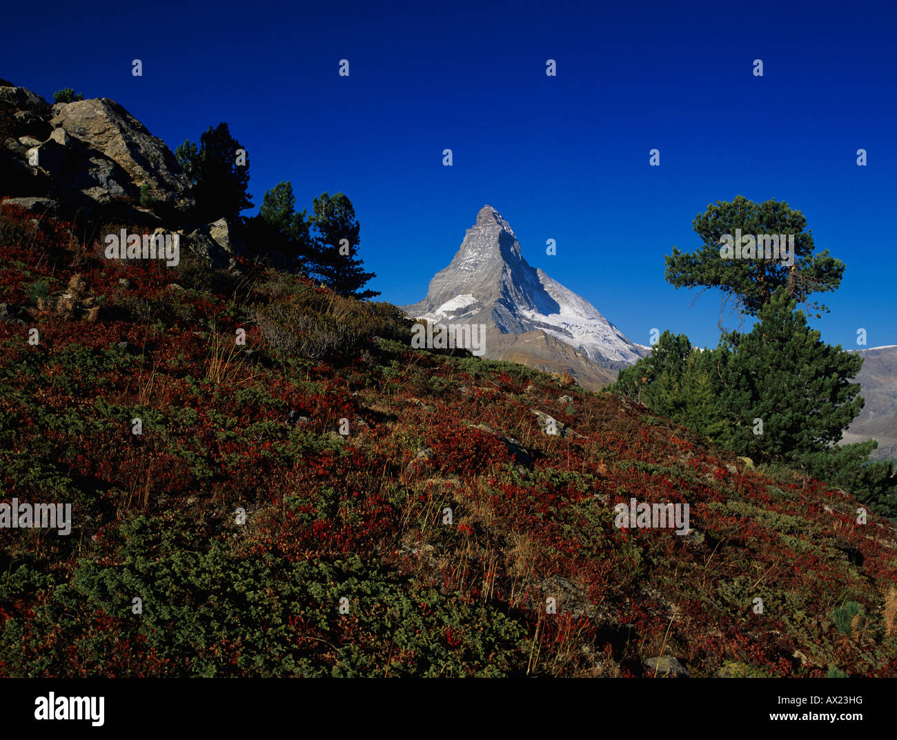 Matterhorn and fall colors Zermatt Swiss Alps Switzerland Stock Photo ...