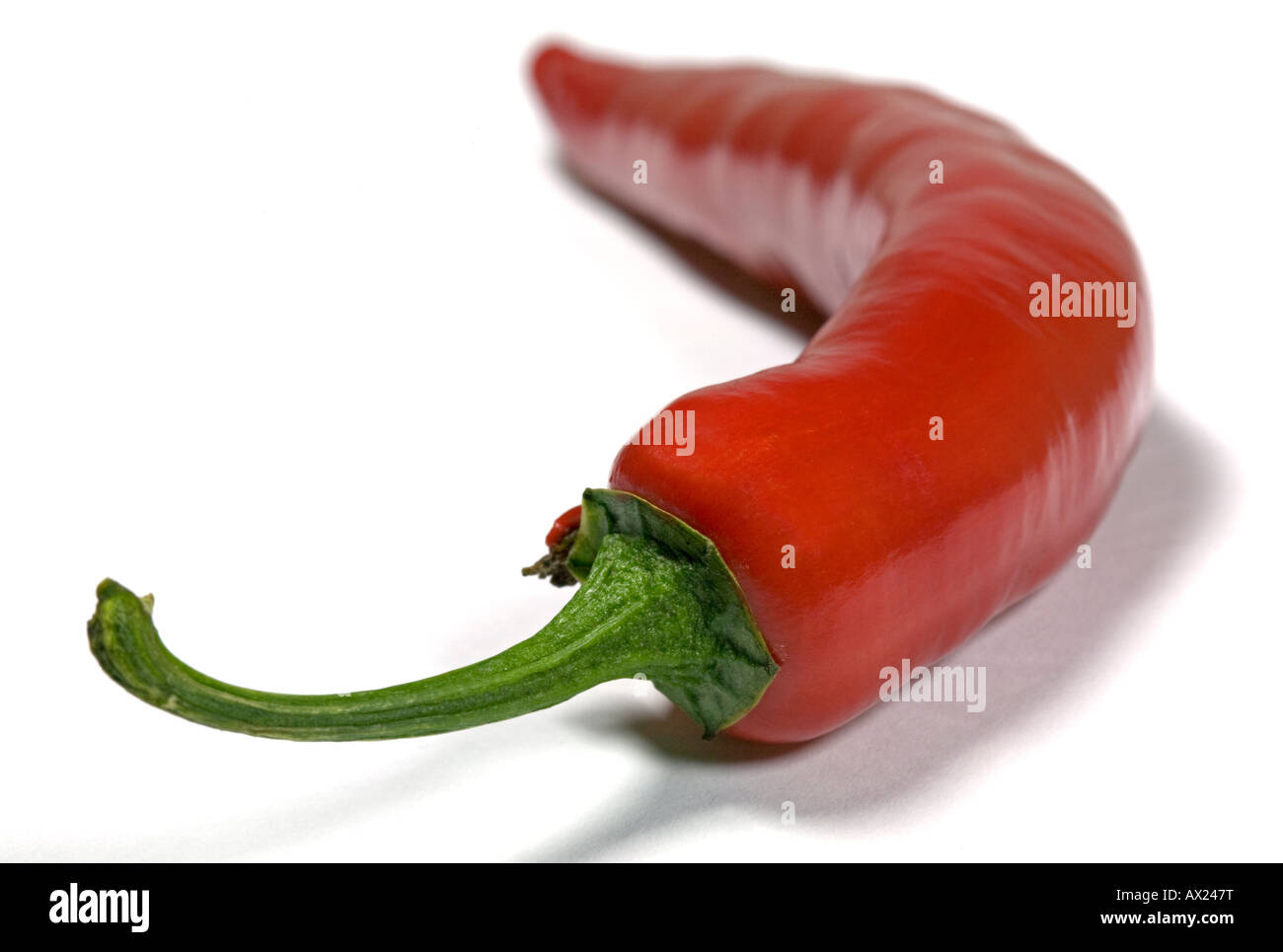 Single red chilli hi-res stock photography and images - Alamy