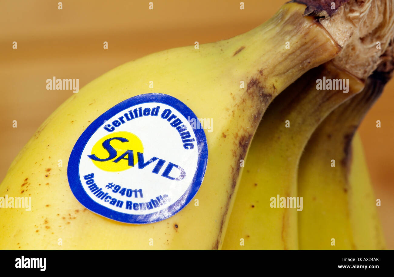 Banana with product sticker Fairtrade Banana Label Organic Dominican ...