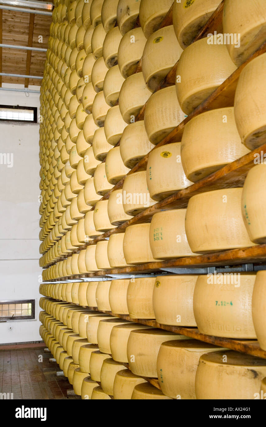 Rows of Parmesan Cheese stacked in a warehouse to season them Italy ...