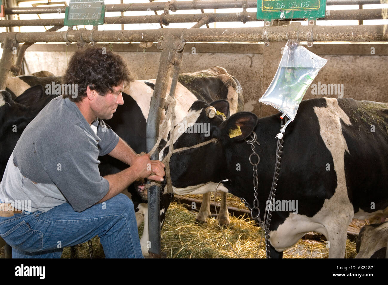 Given medicine hi-res stock photography and images - Alamy