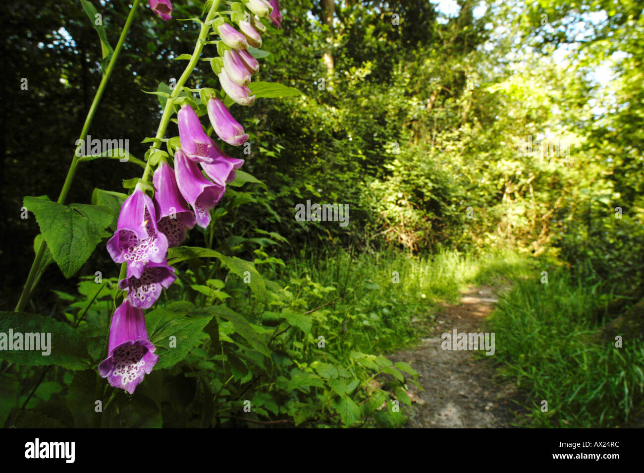 Stow bedon hi-res stock photography and images - Alamy